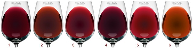 Los Colores del Vino. Que son las Antocianinas? | MICHELYVINOS